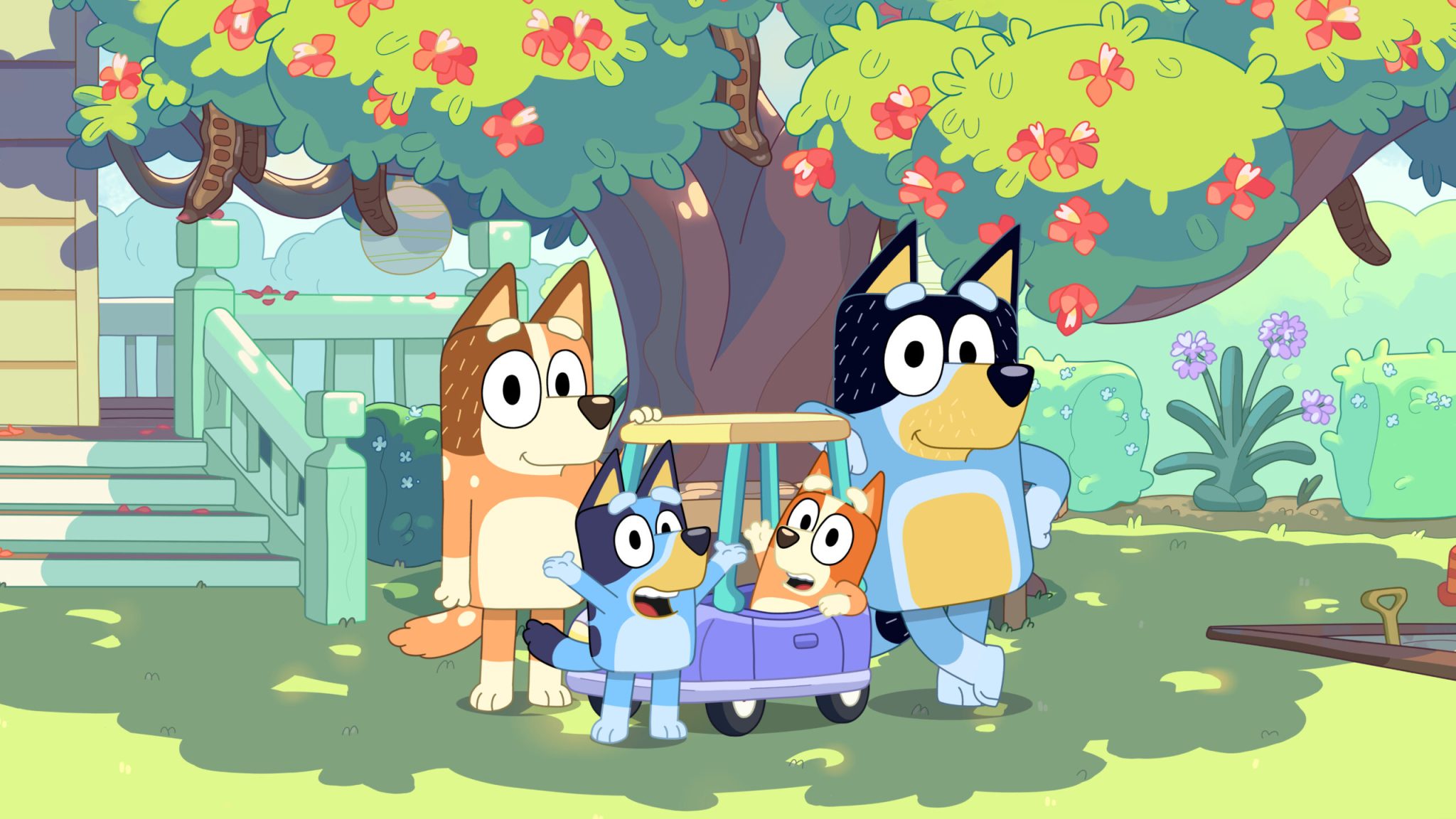 "Bluey" lança novos episódios curtos e divulga quando os últimos devem ...